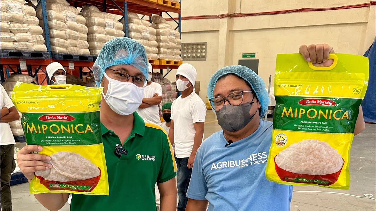 DONA MARIA RICE: From palay to premium Rice, bawat steps - nakaka bilib ...