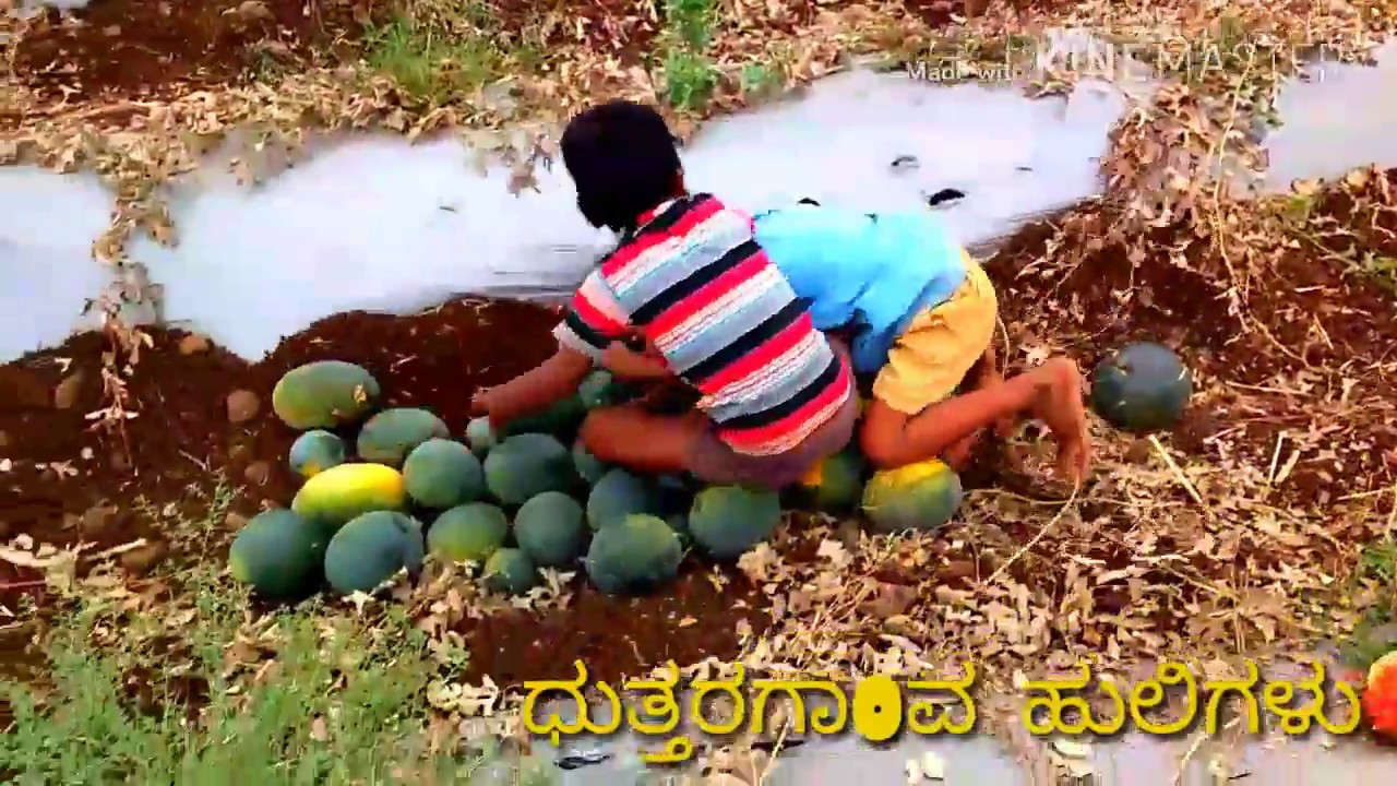 The Real dangal in local agricultural field - YouTube