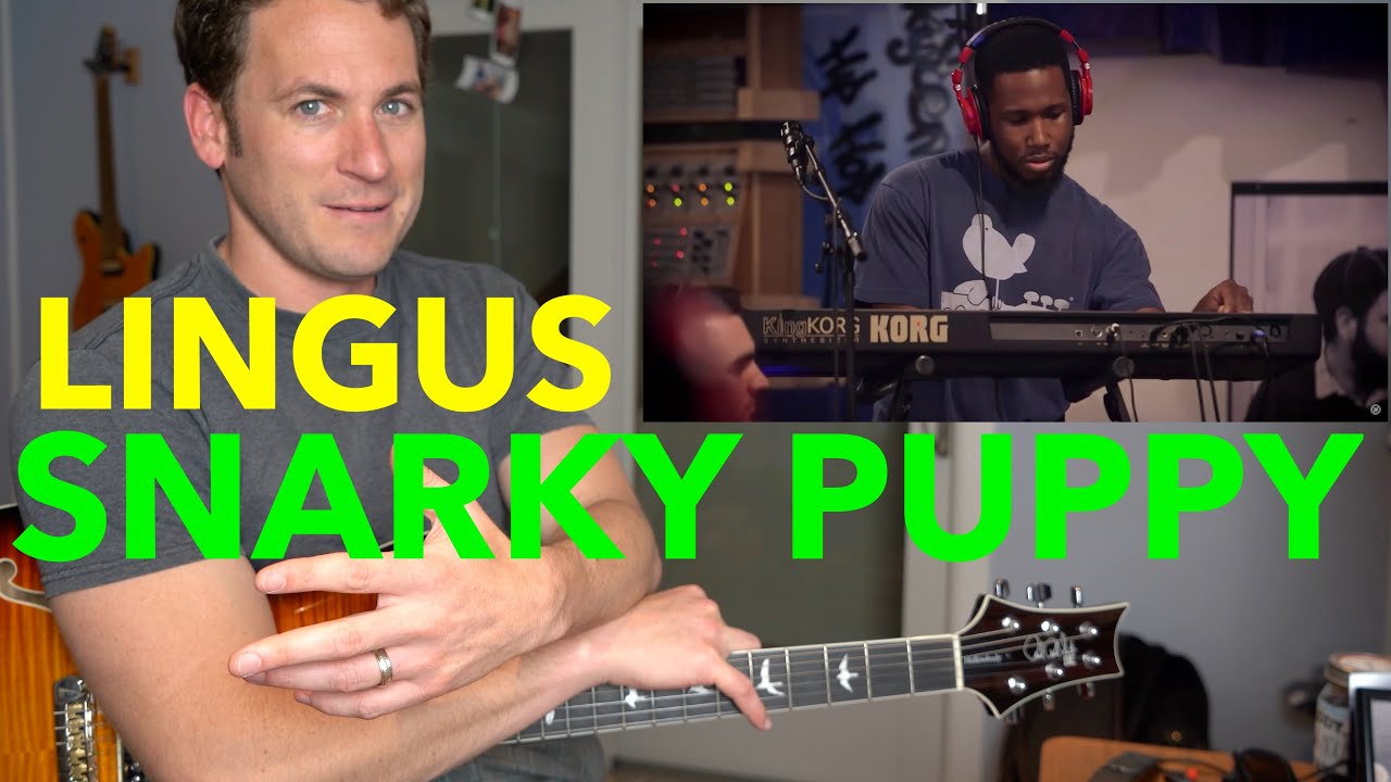 Guitar Teacher REACTS: SNARKY PUPPY "Lingus" (We Like It Here) OMG Cory ...