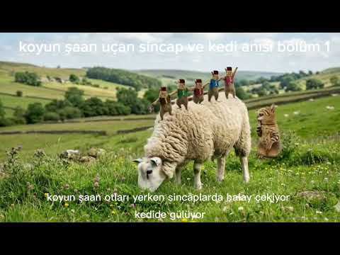 Koyun şaan anısı bölüm 1 #ytdayibenionecikarnolur #kedi #koyun #sincap 