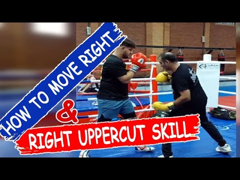 HOW TO THOW RIGHT PUCH LEFT RIGHT UPPERCUT TECH || BOXING TYRAINING ...