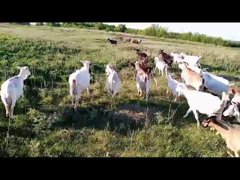 5 мая 2024 г.