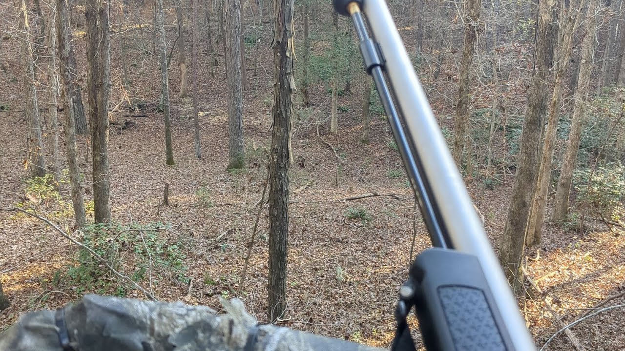 day 1 of hunting (DEER SEEN) - YouTube