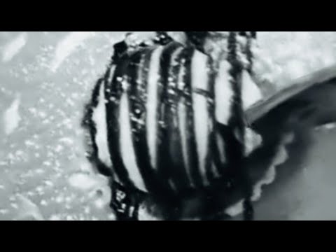 treacle tart recipe making process easy to make - YouTube