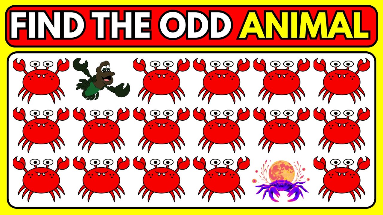 Find the ODD One Out – Animal Edition 🐺🐯 | Easy, Medium, Hard – Level ...