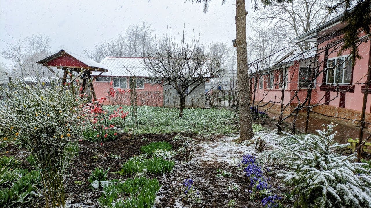 Ninge ca iarna Averse de ninsoare intensa - YouTube