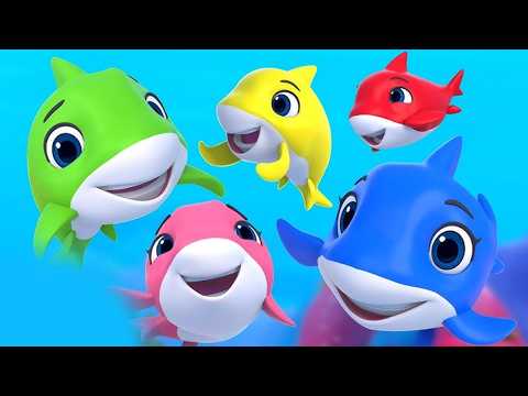 Renkleri keşfet eğitici video 🎈