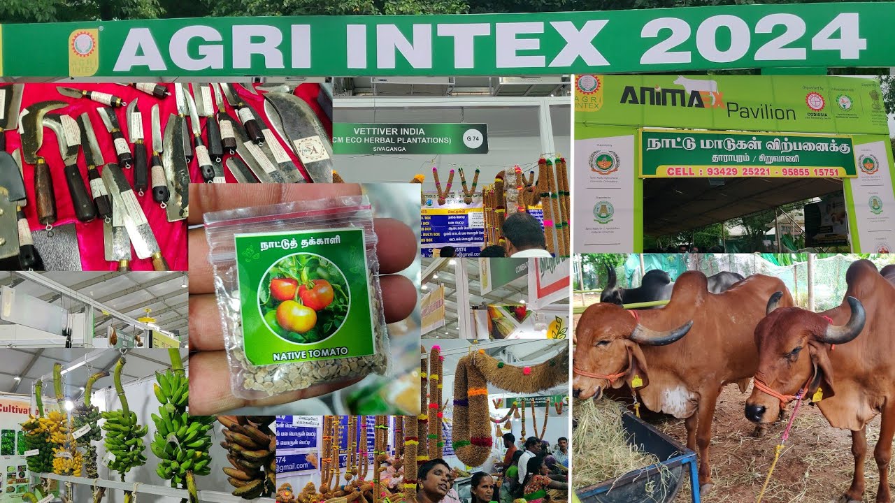 Agri Intex 2024 CODISSIA coimbatore part - 2 | A to Z India's largest agriculture expo - YouTube