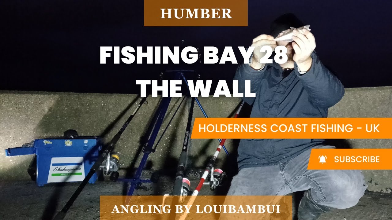 My Smallest Whiting Yet ~ The Quest for Cod Continues ~ The Humber ...