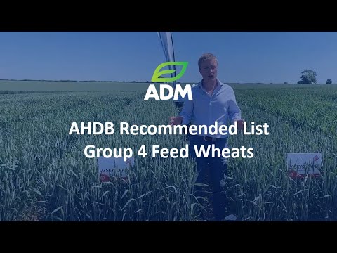 Seed update 16 July 2021 - AHDB recommended list Group 4 feed wheats ...