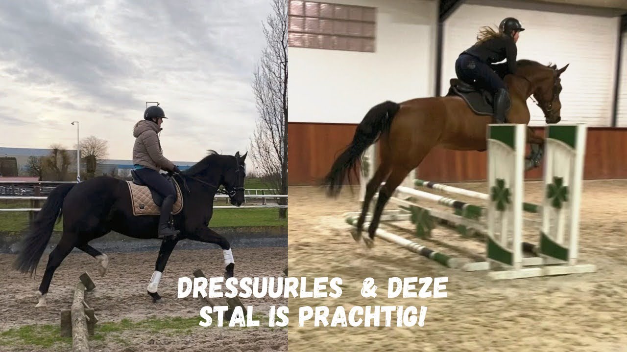 Les voor JONGE PAARDEN COMPETITIE & deze stal MOET JE ZIEN! | Charlotte ...