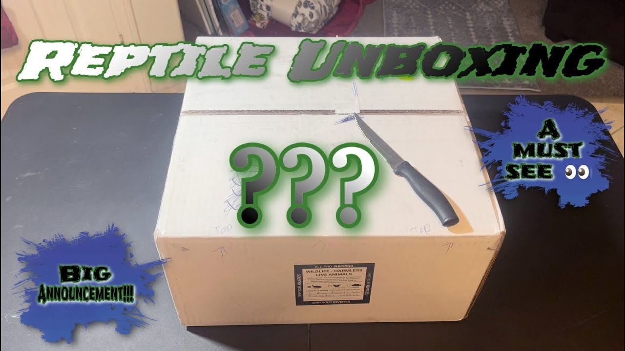 Reptile Unboxing| (Big Announcement) A Must See👀 - YouTube