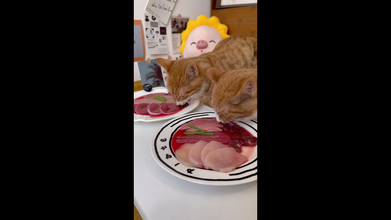 Big orange eats better than me# Xiao Mao, the most active cat in dry ...