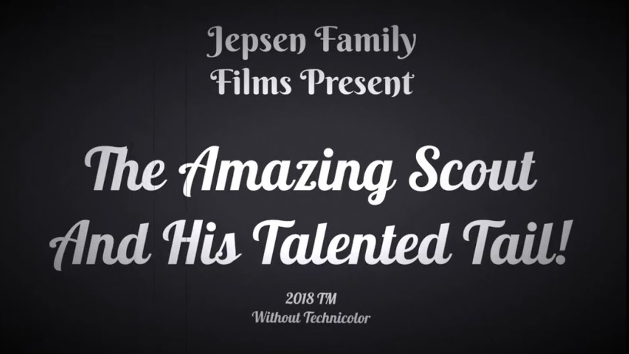 The Amazing Scout and His Talented Tale - YouTube