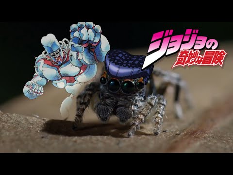 JOJO'S SPIDER ADVENTURE - YouTube