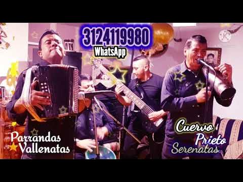 3124119980 PARRANDA VALLENATA LOCALIDAD USAQUEN. CONJUNTO VALLENATO FIESTA DE 15 DE CUMPLEAÑOS ...