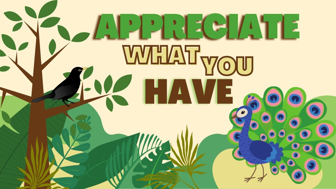 Happiest Bird in the World Story - Which one? - YouTube