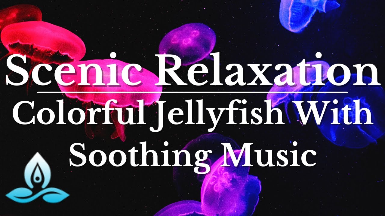 Jellyfish With Soothing Spa & Meditation Music | Scenic Relaxation ...