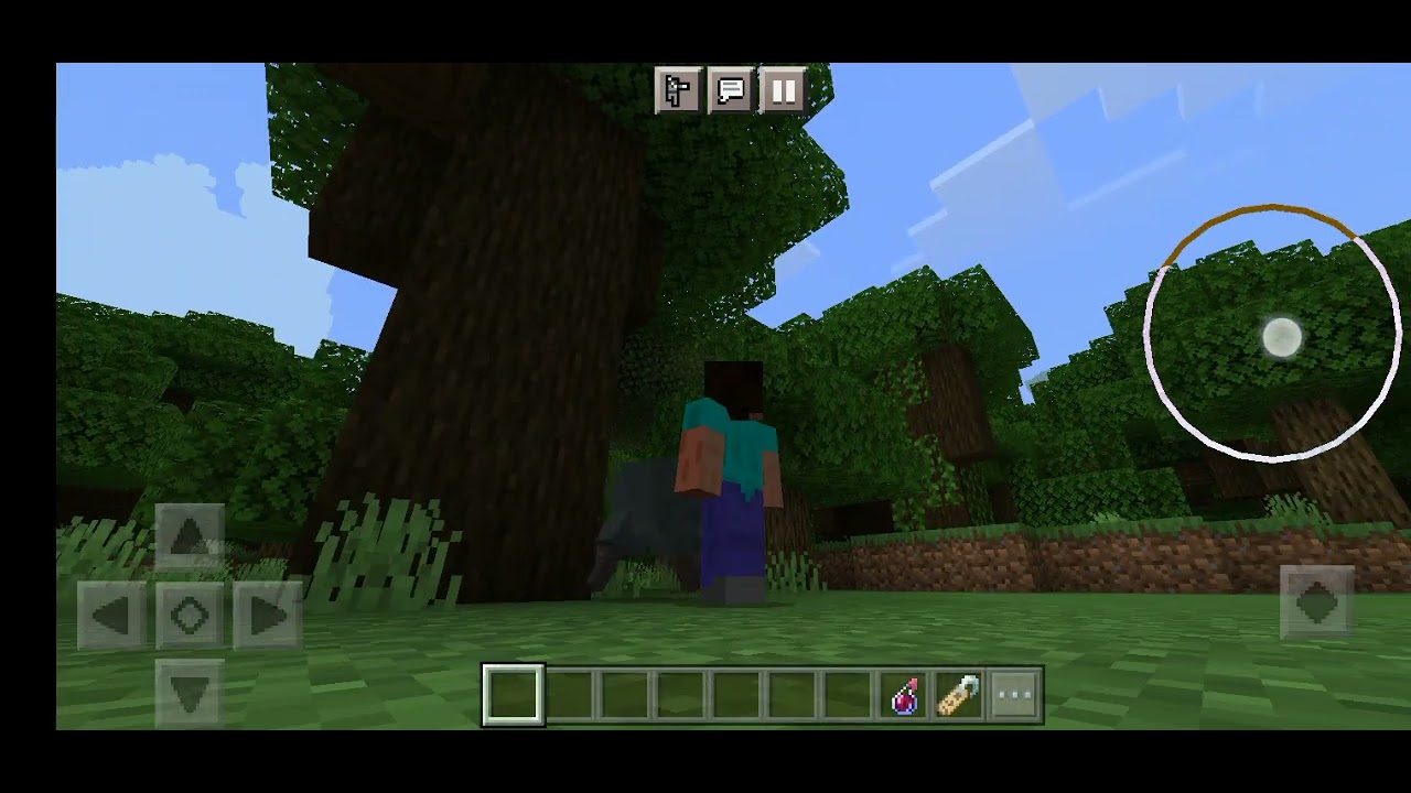 how to fix morph bug in minecraft morph with no mods - YouTube