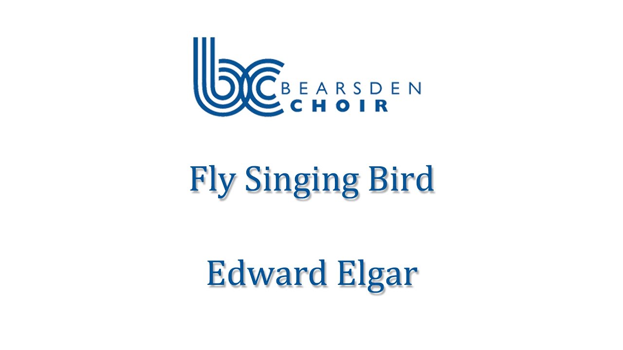 Fly Singing Bird - YouTube