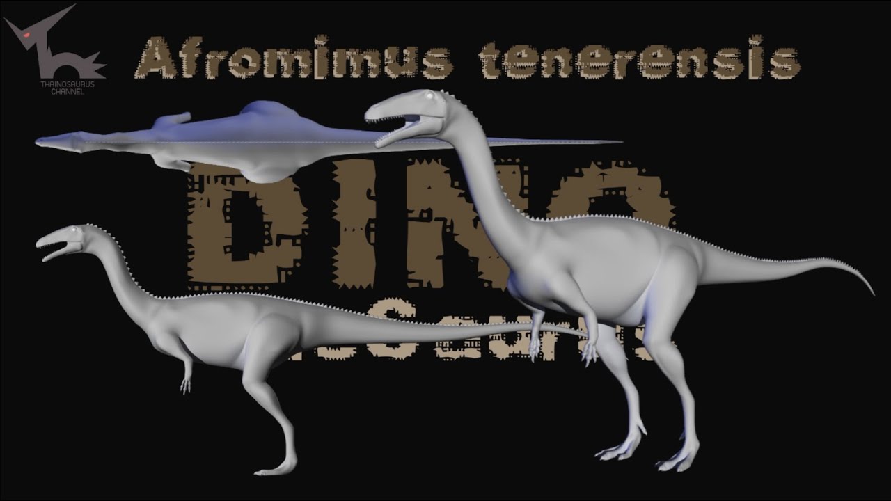 Dino TheSaurus : Model A027 Afromimus tenerensis - YouTube