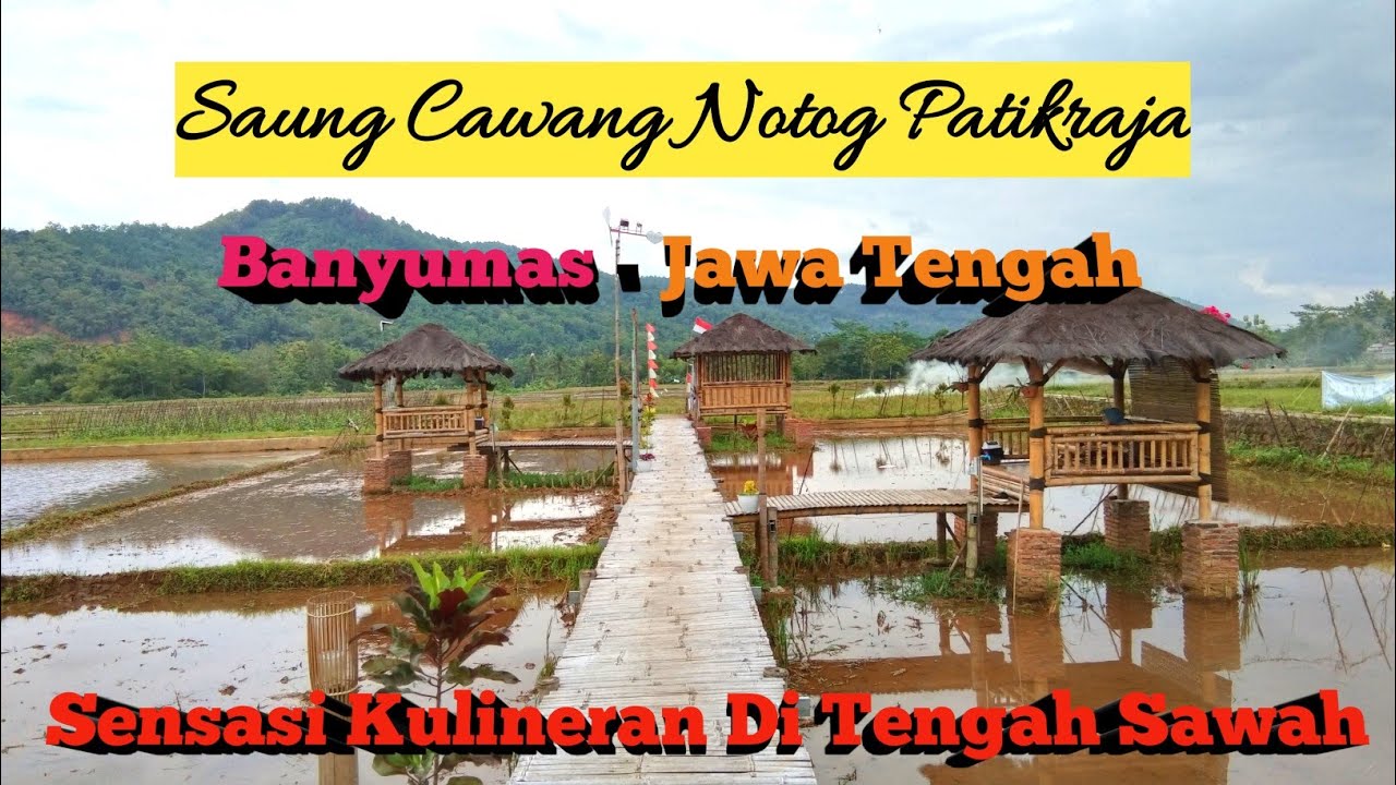 Saung Cawang Notog Patikraja Banyumas | Kuliner Purwokerto - YouTube