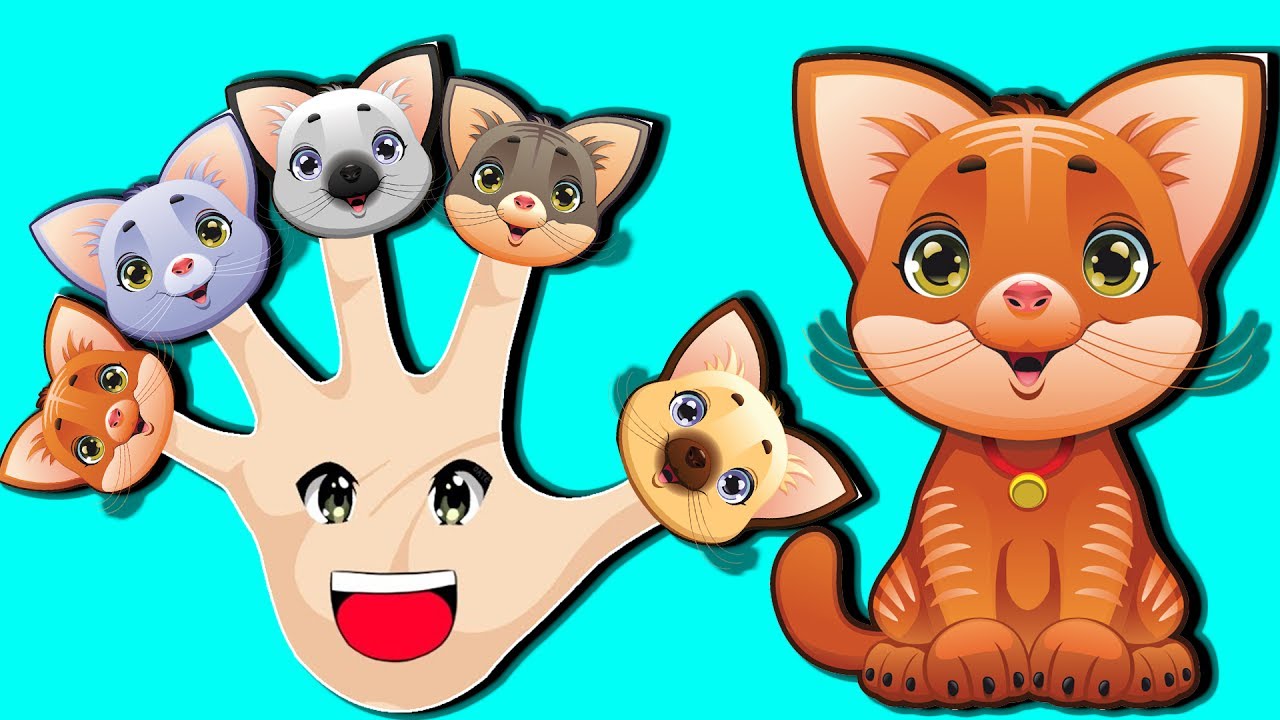 Cat Finger Family Song | Funny Songs Nursery Rhymes for Children - YouTube
