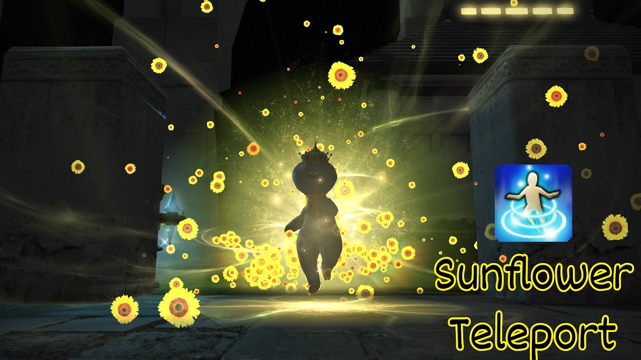 Final Fantasy XIV Sunflower Teleport - YouTube