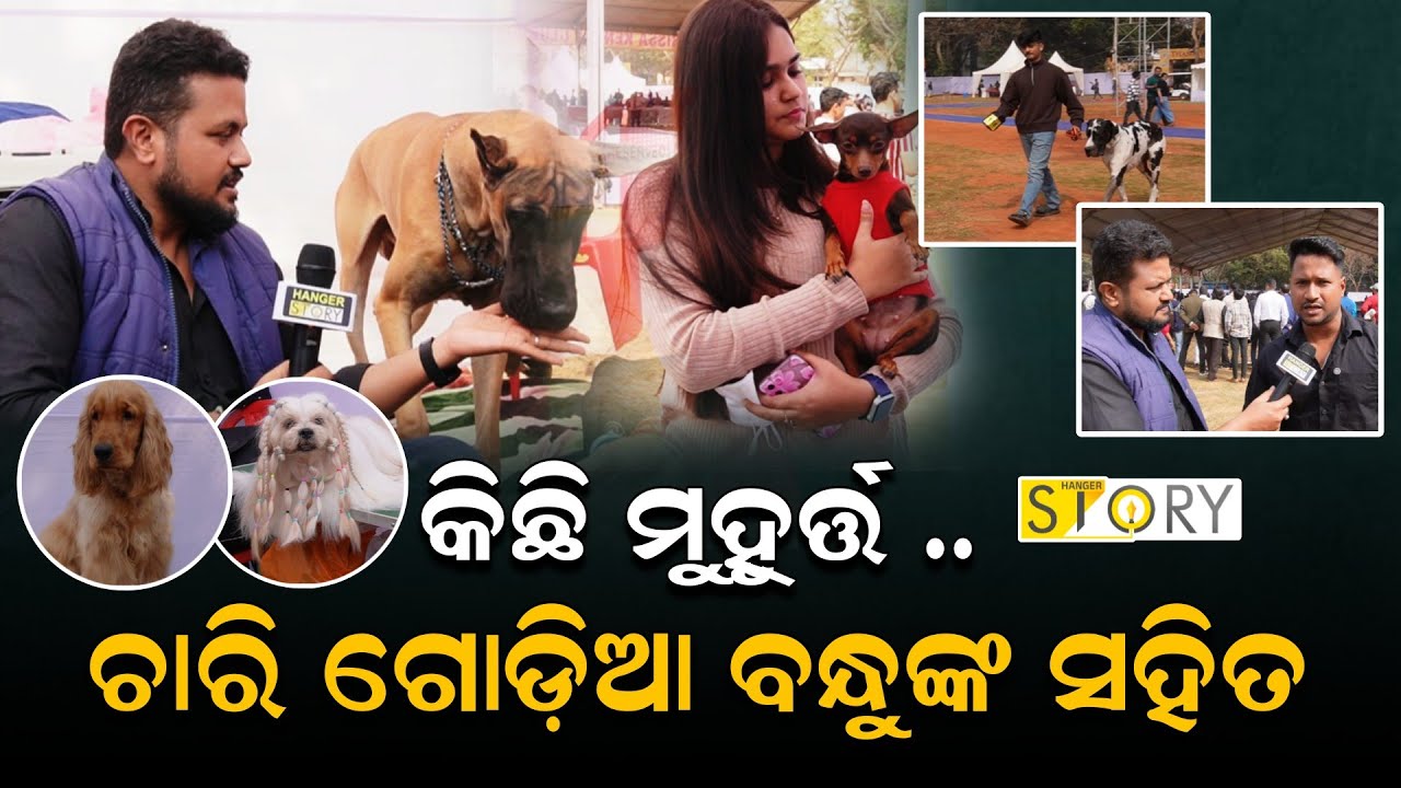 Dog Show Attracts Crowd at Veterinary Campus; 300 Breeds Participate II ...
