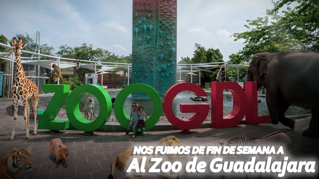 Zoologico de Guadalajara | Zoo Gdl 4k - YouTube