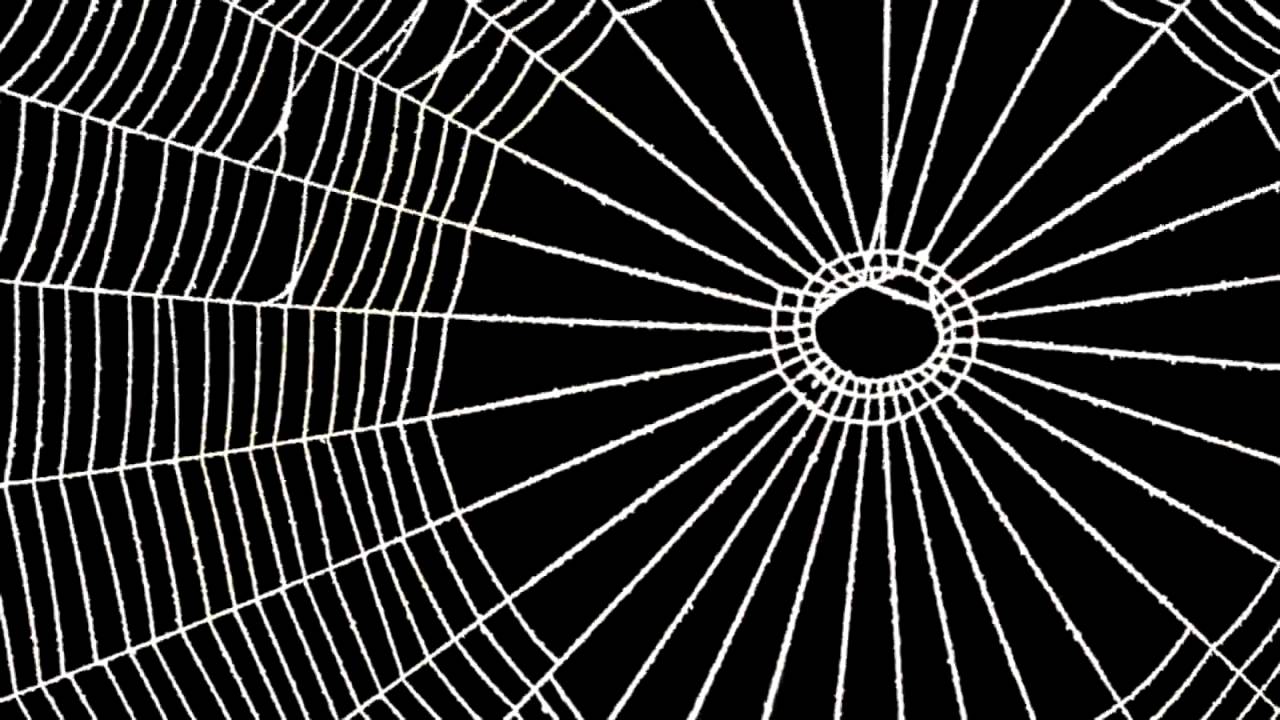click photography changes what we see JONATHAN CODDINGTON - YouTube