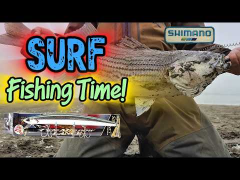 How to Catch Striped Bass in the Surf! 🌊🐟 Surf Fishing! 🏄‍♂️🎣