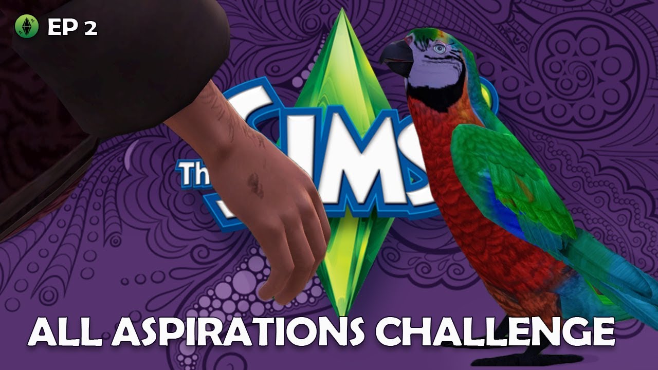 Sims 3: All Aspirations Challenge | Episode 2: New Friend! - YouTube