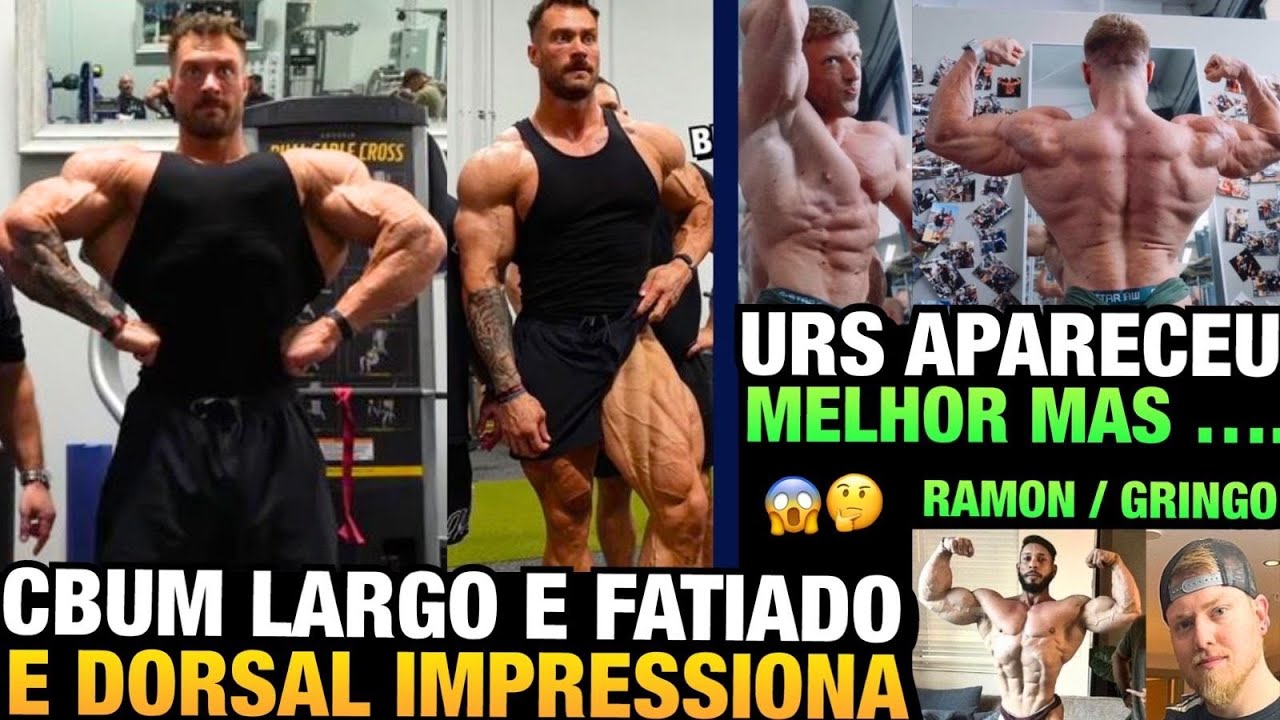 CBUM MOSTRA DORSAL ENORME - RAMON ELOGIADO PELA MÍDIA GRINGA - URS ...