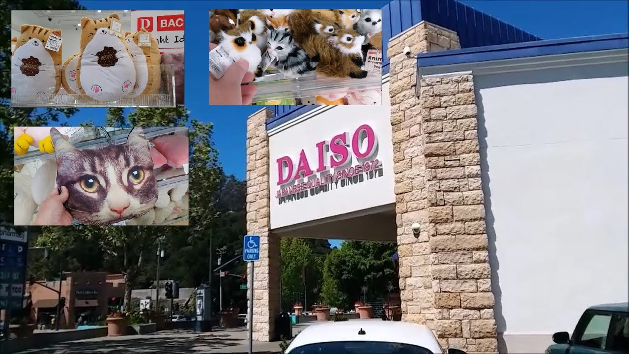 Daiso Walkthrough with sound - YouTube