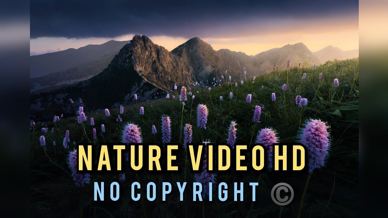 Nature Cinematic Video Hd No Copyright Background Video _ Royalty Free ...