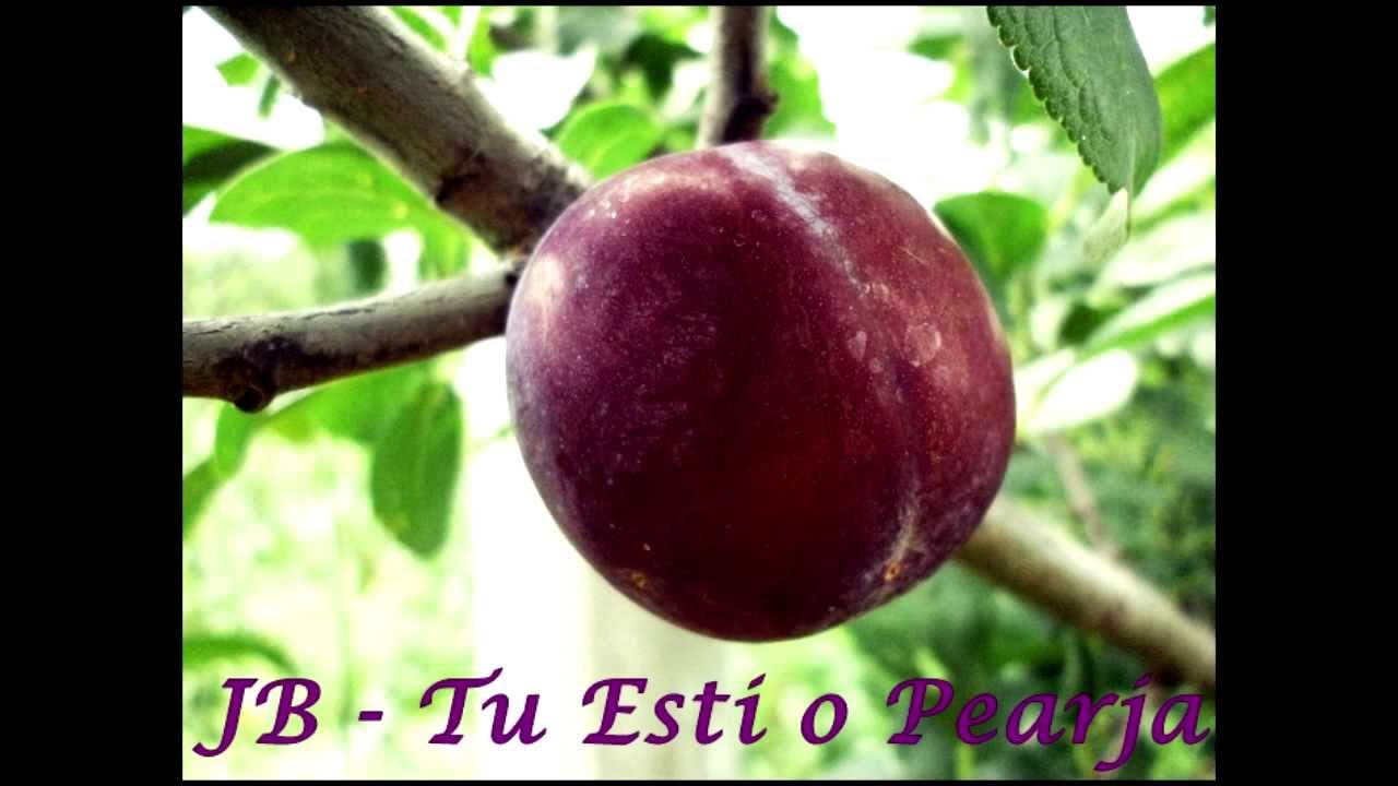 JB-Tu esti o pearja - YouTube