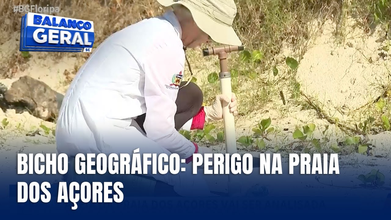 Bicho geográfico na Praia dos Açores: análise da areia em foco - YouTube