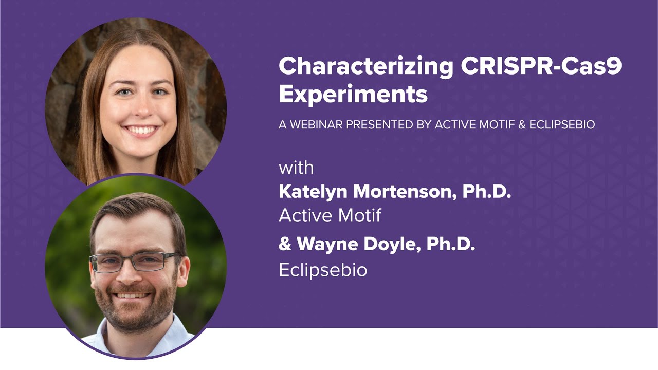 [Webinar] Active Motif & Eclipsebio present: Characterizing CRISPR-Cas9 Experiments - YouTube