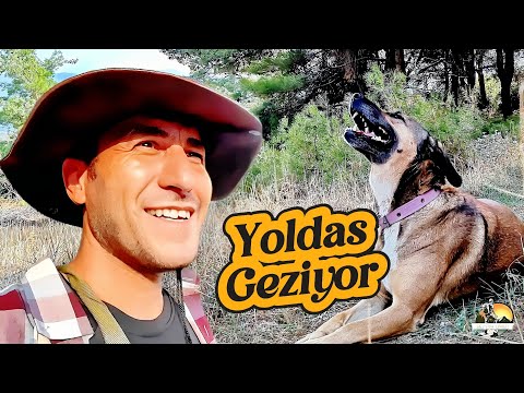 Yoldaştan Video Geldi Manisa'da Geziyor #454