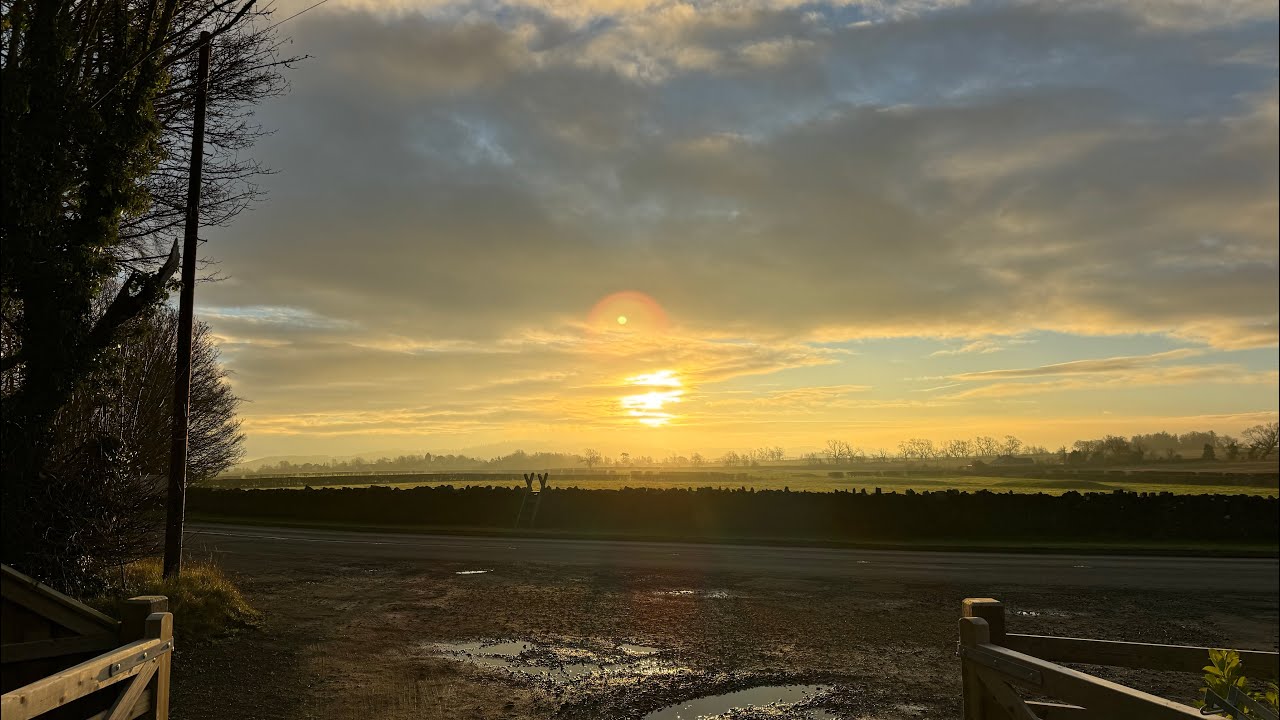 Spring is Here! | Developer Diaries | EP4 - YouTube