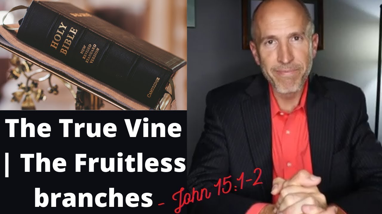 The True Vine and The Fruitless branches | John 15:1- 2 | Gospel of ...