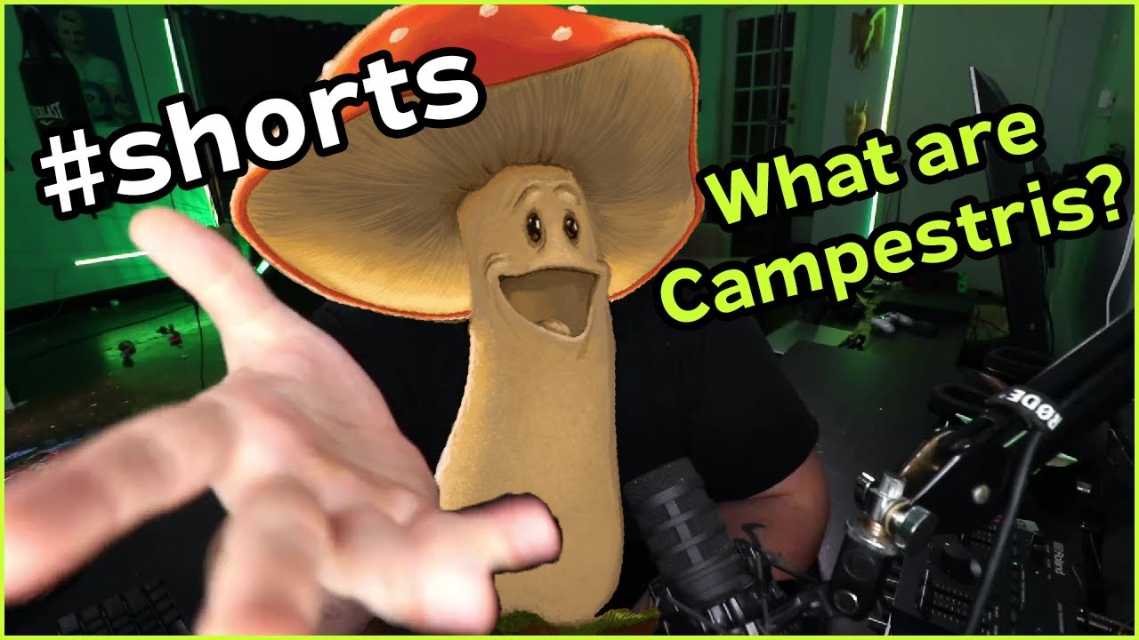 What is a Campestri in D&D? - YouTube