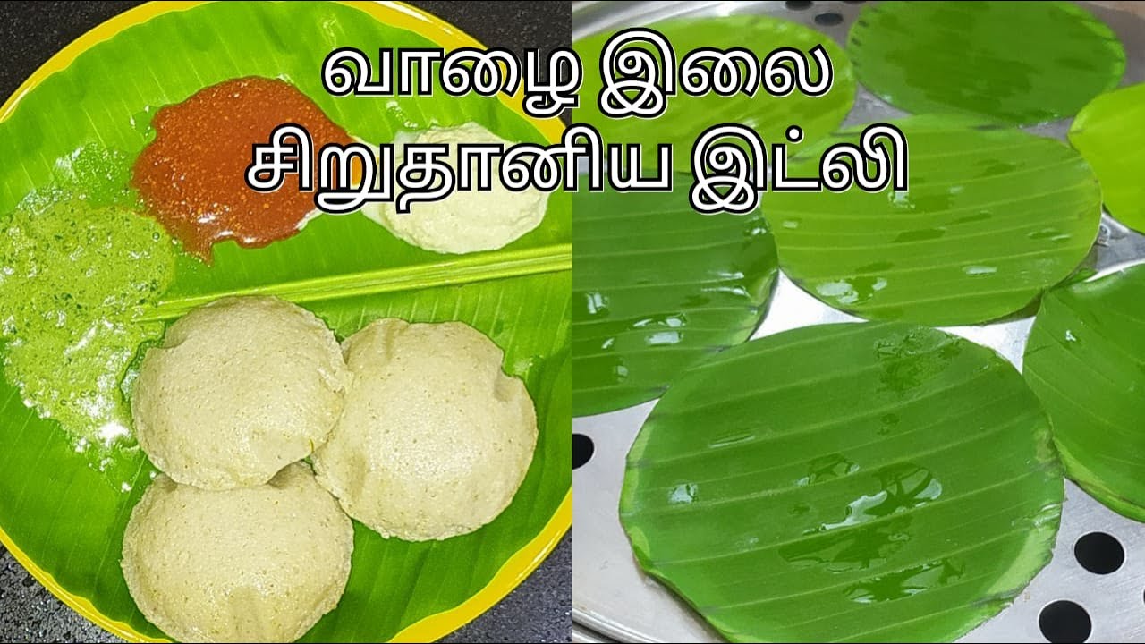 Vazhai ilai Sirudhaniyam idly |How to make Sirudhaniyam / Millets ...