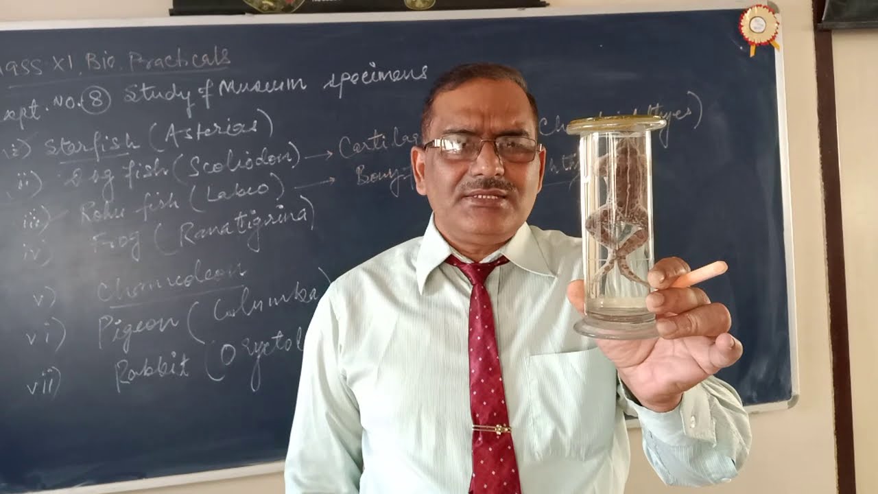 Class 11 | Biology Practical-8 | - YouTube