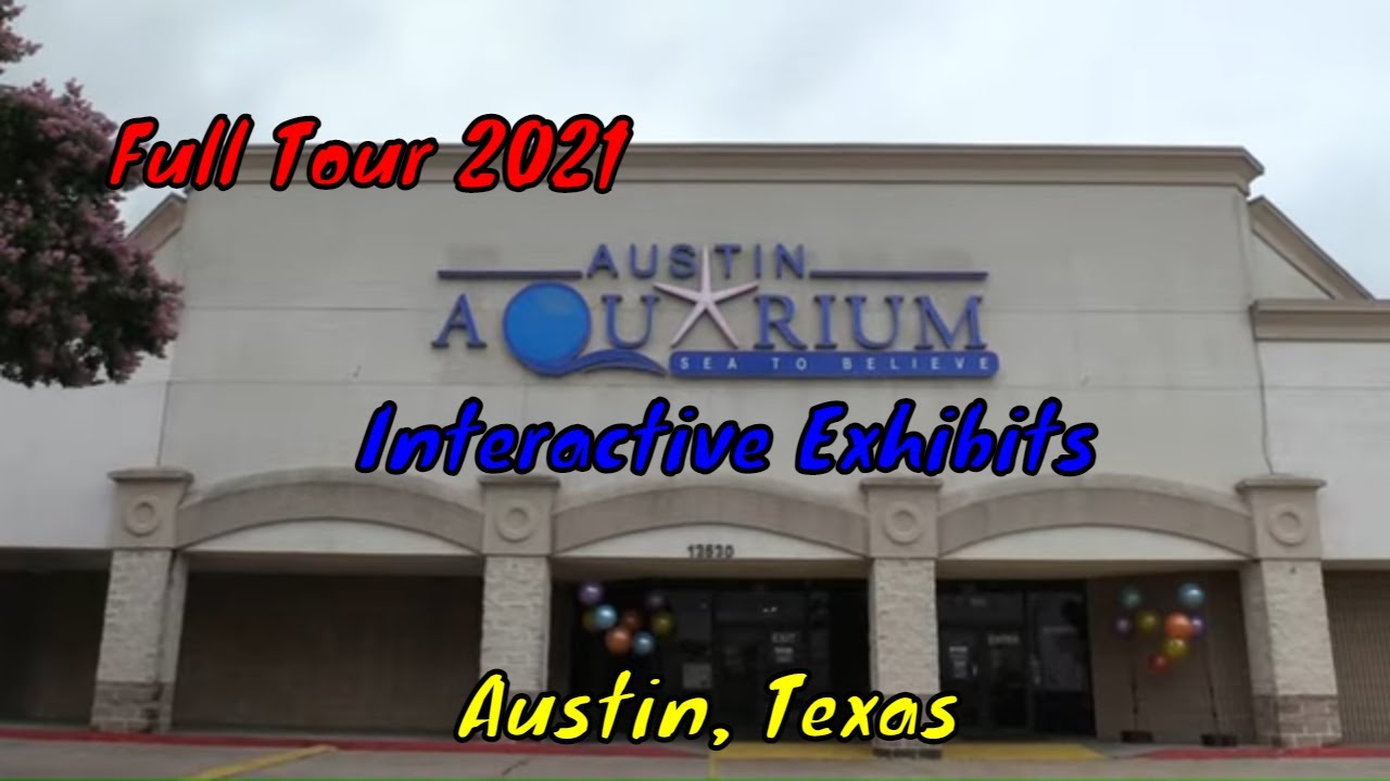 Austin Aquarium Full Tour - Austin, Texas - YouTube