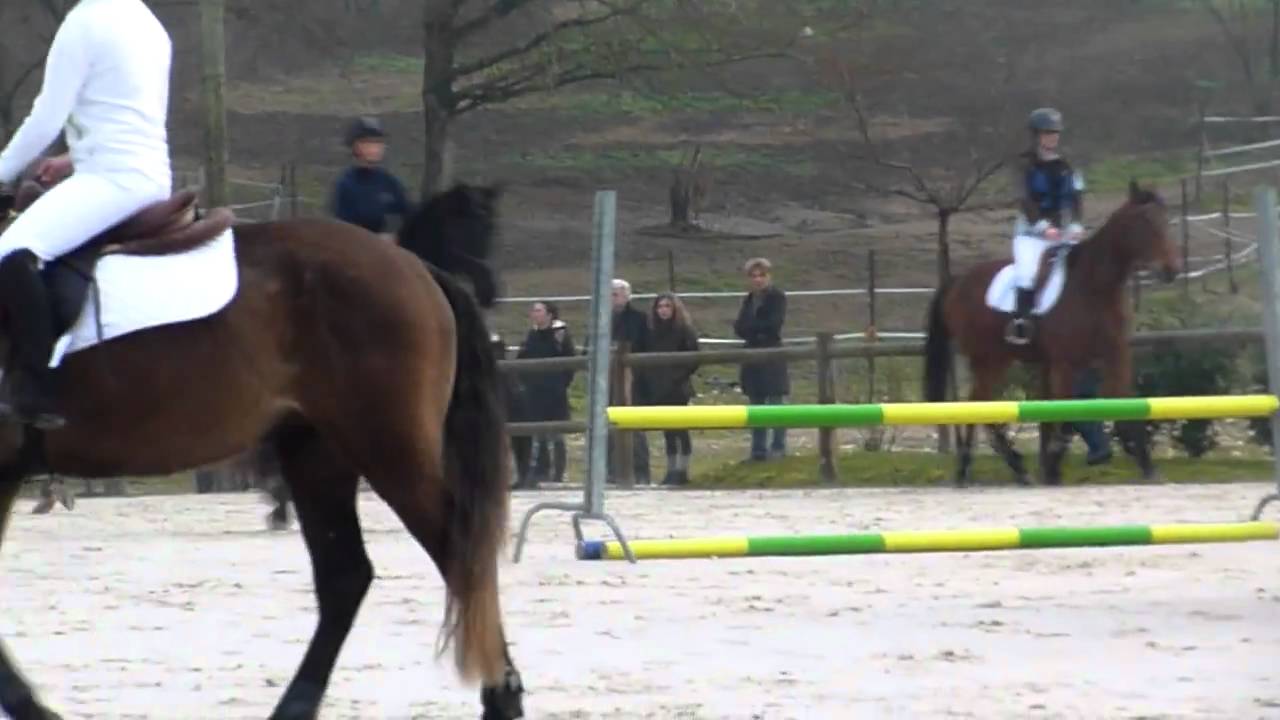 arabo frison qui saute / wallen 4 ans - YouTube