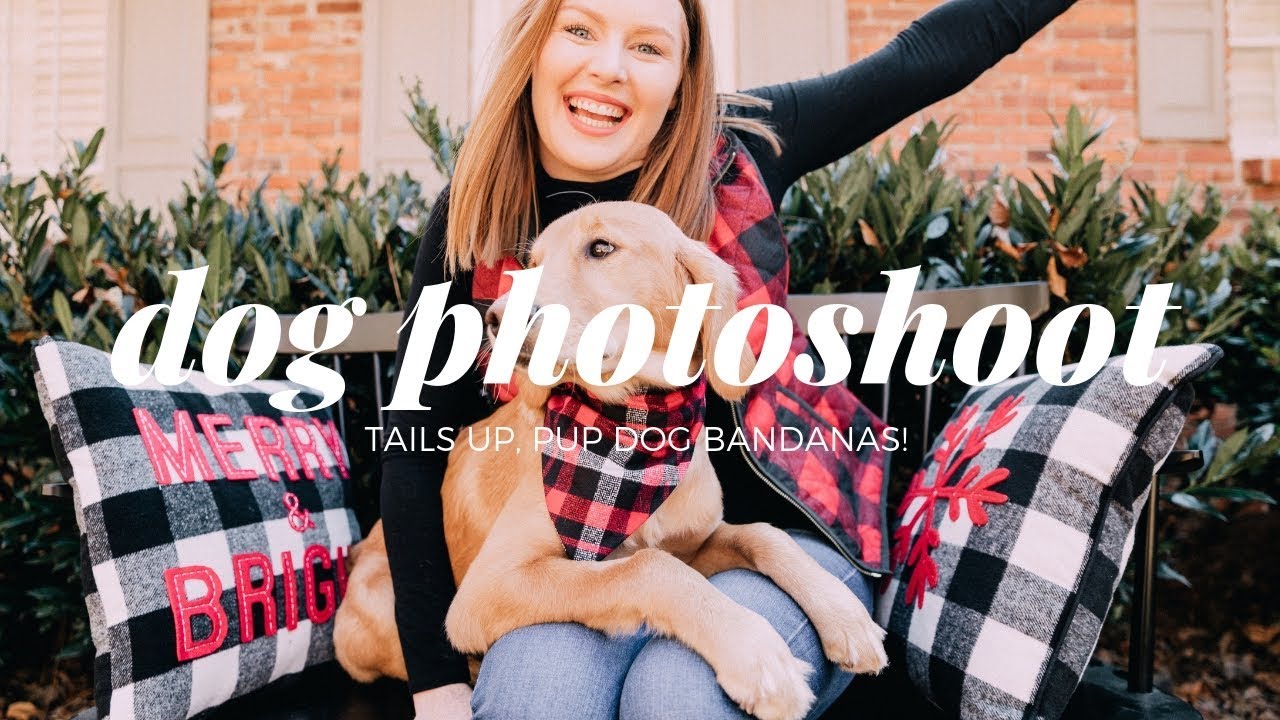 Dog Photoshoot!🐶VLOGMAS DAY 4 - YouTube