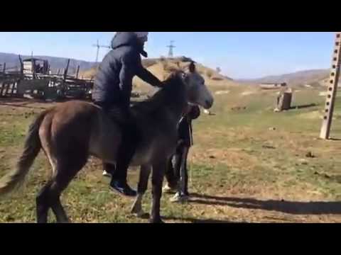 Bel qırılması