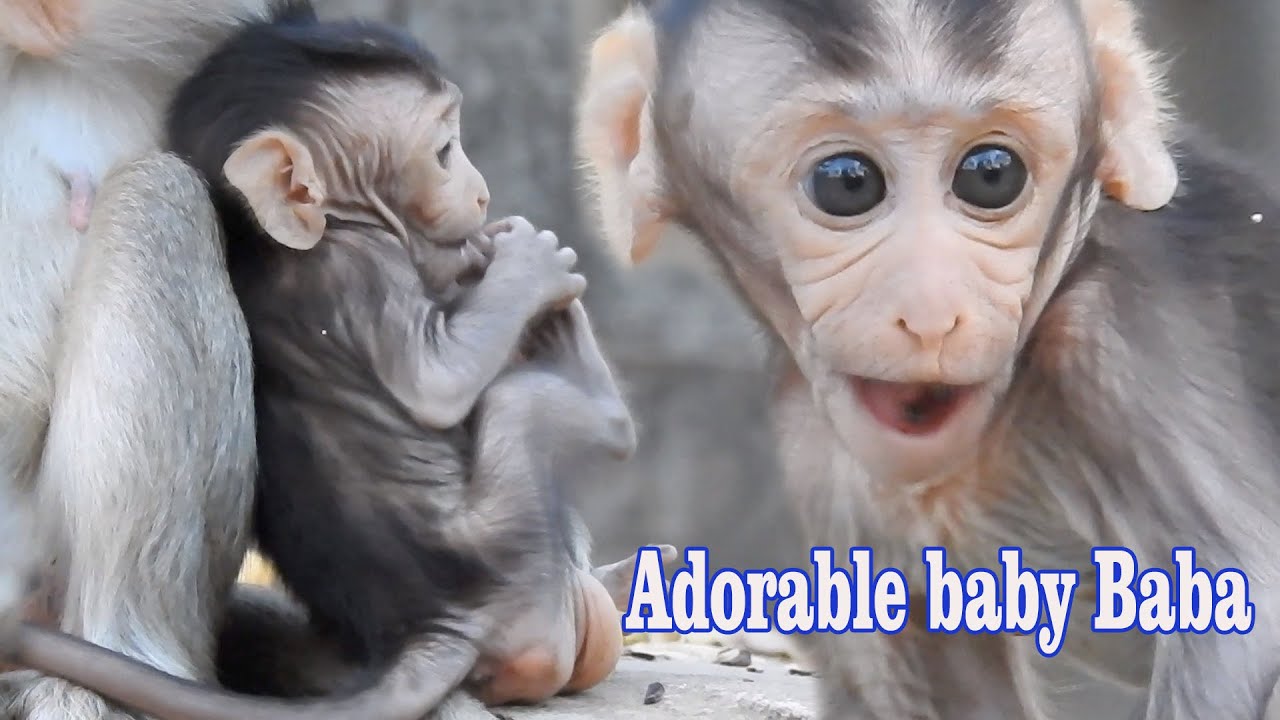 No kidnapper, Adorable baby Baba very warmly with mom look very ...